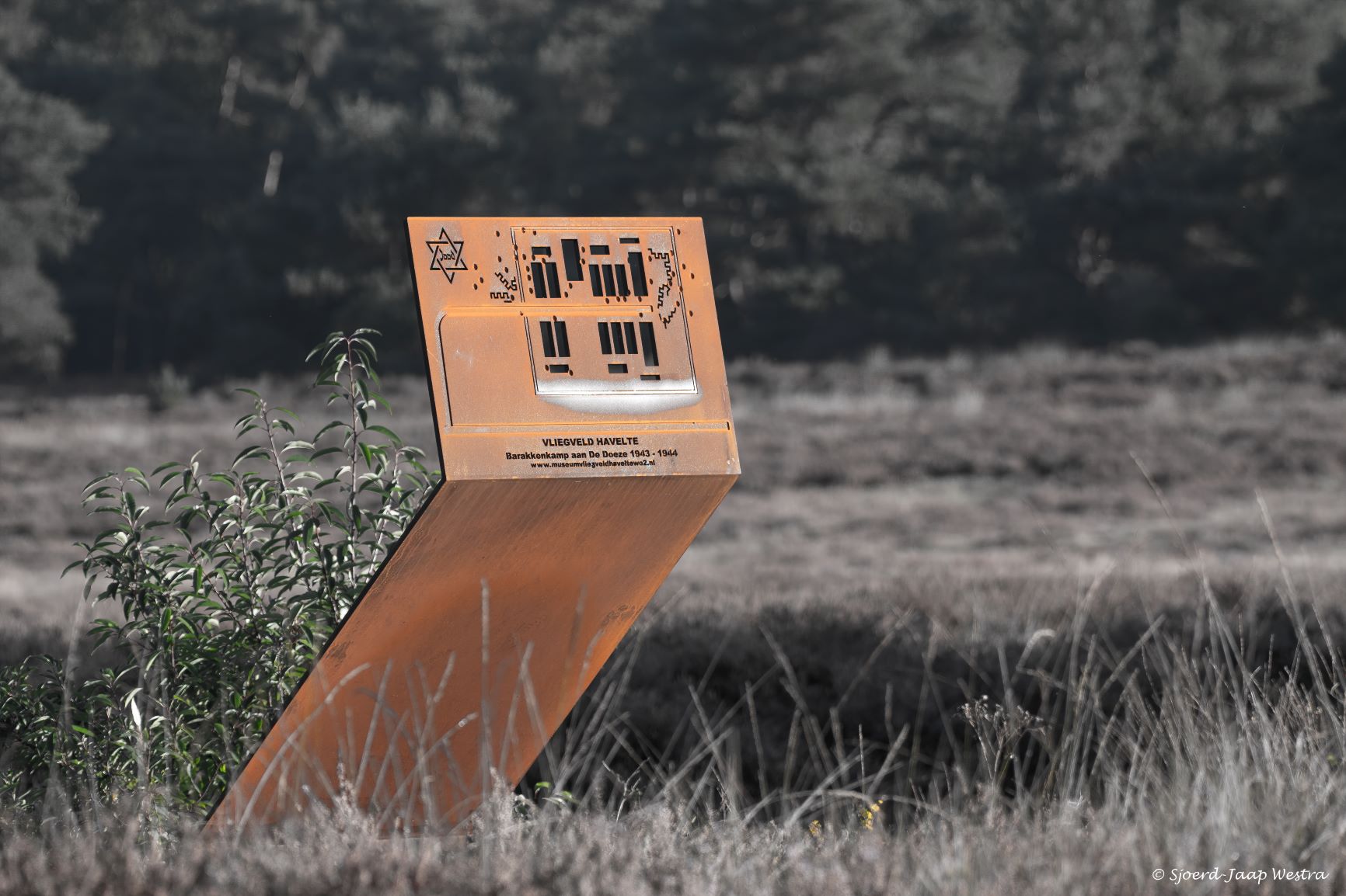 Historie | Holtingerveld